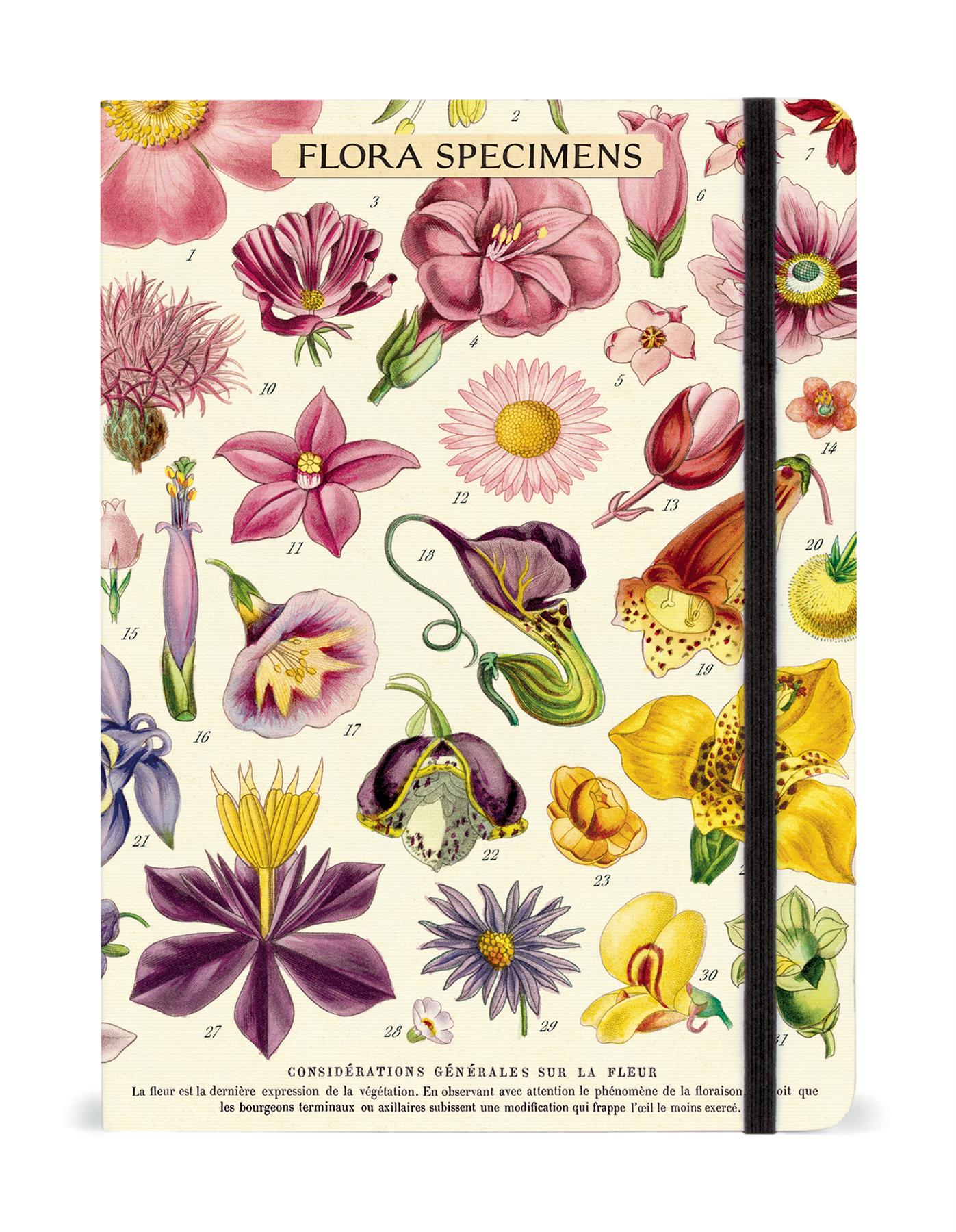 Cavallini - Large Lined Notebook 6x8ins - Vintage World Map - Flora Sp ...